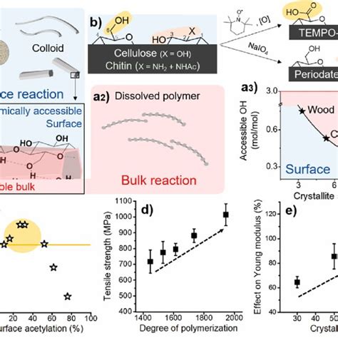 Cellulose Dissolution In Basic Ionic Liquids Ils A Solubility Of