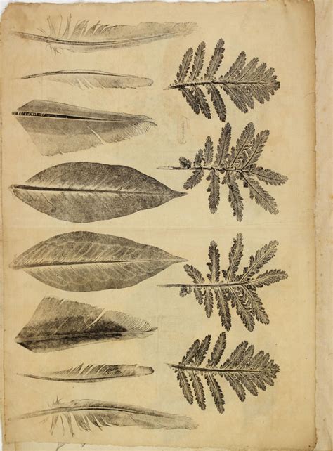 Using A Simple Method Of Inking Both Sides Of A Specimen And Pressing Between Folded Paper