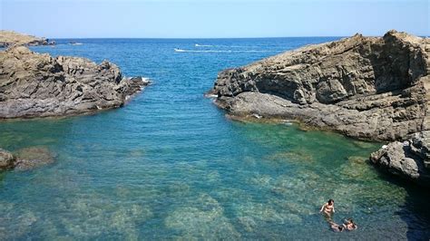 90 Free Beach Roses And Beach Images Pixabay