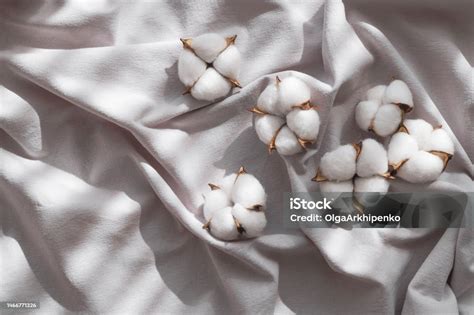 회색 패브릭 평면도 복사 공간에 아름 다운 목화 꽃입니다 천연 면직물 질감 섬세한 흰색 면화 꽃 플랫 누워 밝은 색 면