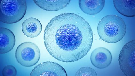 Closeup View Of Blue Cellular Structures Floating In A Bright Blue Background Illustrating Cell