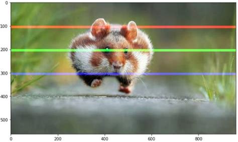 教程使用Python进行基本图像数据分析 Python 教程使用Python进行基本图像数据分析 Python