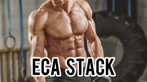 The Eca Stack Dosage Unlocking The Power Of Synergy By