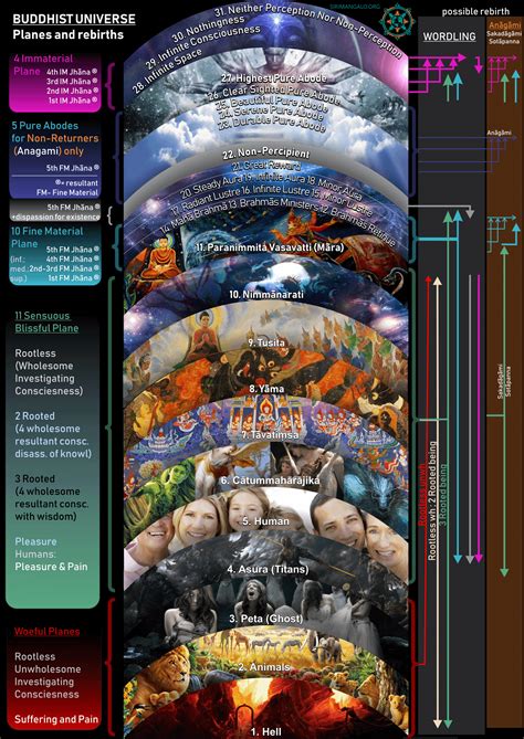 Buddhist Cosmos The Thirty One Realms Of Existence Rbuddhism