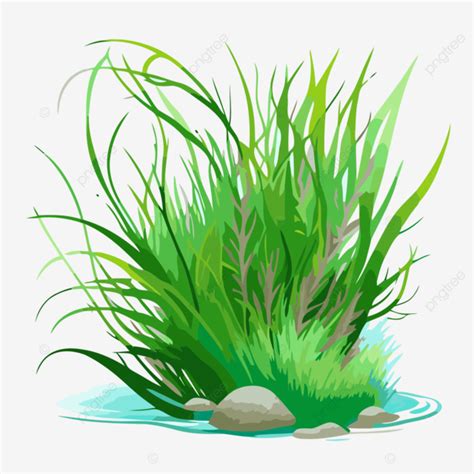 Sea Grass Clipart