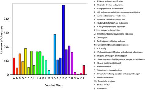 Histogram Of Cog Classification Download Scientific Diagram