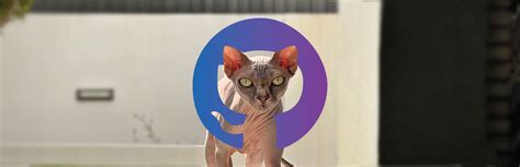GitHub Gist Embed Block For WordPress Micro Plugin Lifetime