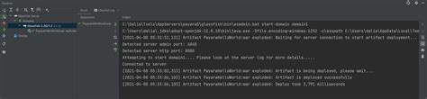 fast and efficient development with payara server and intellij idea