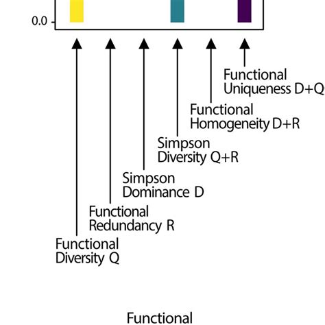 Schematic Illustration Of The Proposed Additive Diversity Download