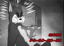 Tom And Jerry Gifs Tenor