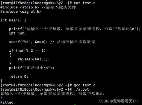 ＜c语言错误处理＞ ＜signalh＞头文件及signal函数等内置函数 阿里云开发者社区