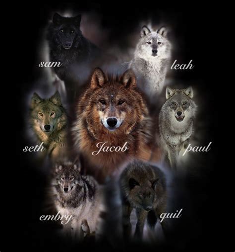 Quileute Tribe The Wolves The Whole Gang Leah Clearwater Paul Lahote Quil Ateara Embry Call