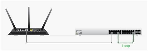 Ethernet Loop HD Png Download Kindpng