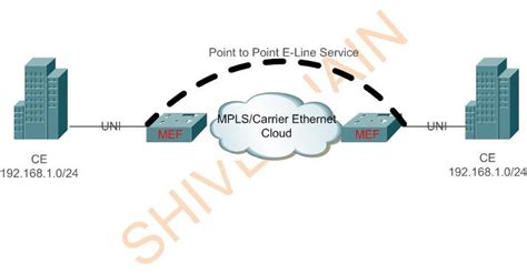 E Line Carrier Ethernet Services Mplsvpn Moving Towards Sdn And Nfv