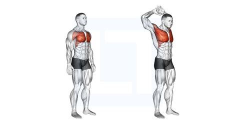 Above Head Chest Stretch Guide Benefits And Form