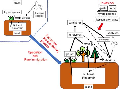 通过新的生态系统演化模型预测生态系统变化 Scientific Reports X Mol