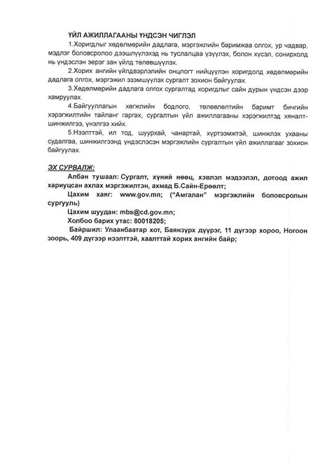 Үйл ажиллагааны үндсэн чиглэл