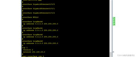 Rip创建loopback及配置loopback怎么配置 Csdn博客