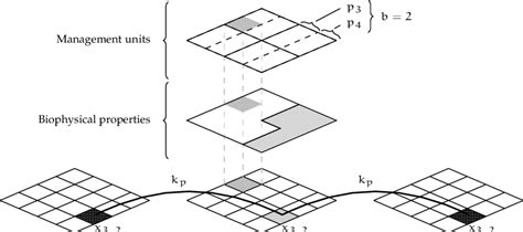 Figure D1 Schematic Representation Of The Spatial And Temporal Aspect