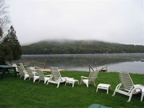 mistylakeside random neurons firing