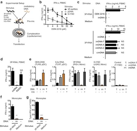 Imdna Inhibits Monocytic Ifn α Secretion Induced By Cytosolic Stimuli