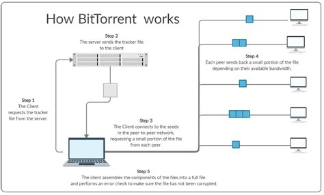 Network Protocols Edexcel Igcse Computer Science