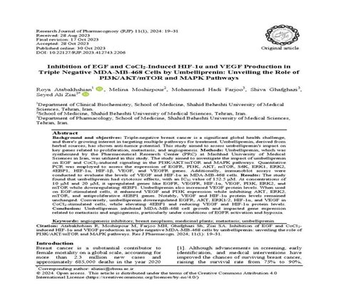 Seyed Ali Ziai On Linkedin Inhibition Of Egf And Cocl2 Induced Hif 1α And Vegf Production In