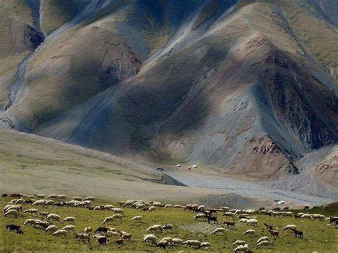 ХОВД АЙМАГ ЗЭРЭГ СУМ Ulaanbaatar