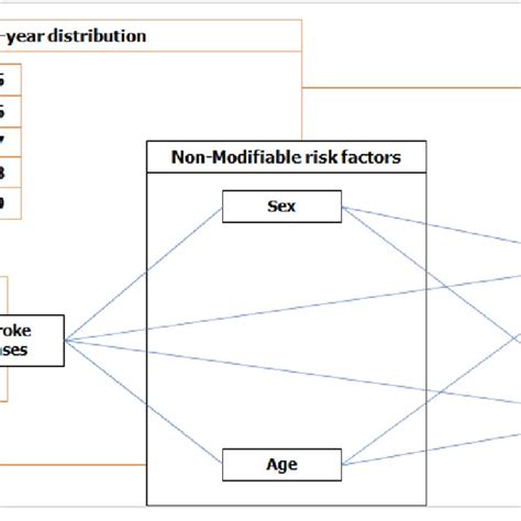 Construct Model For Assessing The Stroke Cases And Structure In