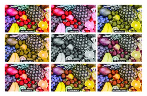 Simulação Dos Tipos De Daltonismo Fonte O Autor Download