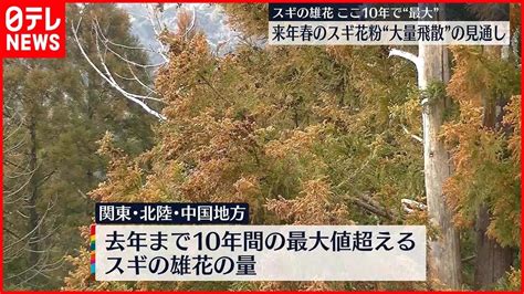 【スギ花粉】2023年春“大量飛散”の見通し ここ10年で“最大” Youtube