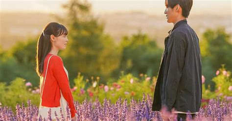 【画像・写真】nhk朝ドラ「舞いあがれ！」柏木学生（目黒蓮）と舞（福原遥）の初デートで「ラベンダー畑」トレンド入りも、実際の花の品種は