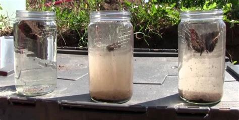 Soil Health Testing Why And How Helping Farmers In Scotland Farm Advisory Service