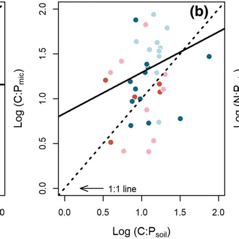 Regression Between The Cn Cp And Np Ratios Measured In Microbial