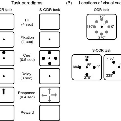A Schematic Diagram Of The Odr Task Left And The S Odr Task Download Scientific Diagram
