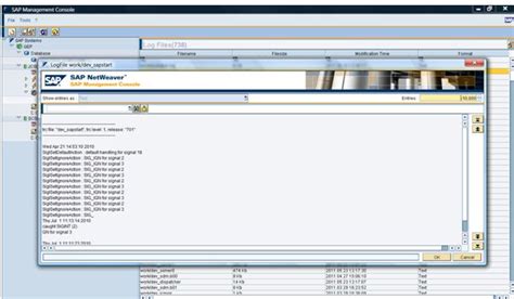 Simple About Sap Basis Sap Java Monitoring Check List 2