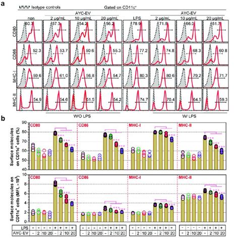 Antigen Uptake And Antigen Presenting Abilities Regulated By Ayc Ev