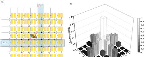 Schematic Illustration Of The Rowcolumn Addressing In The Mea A As