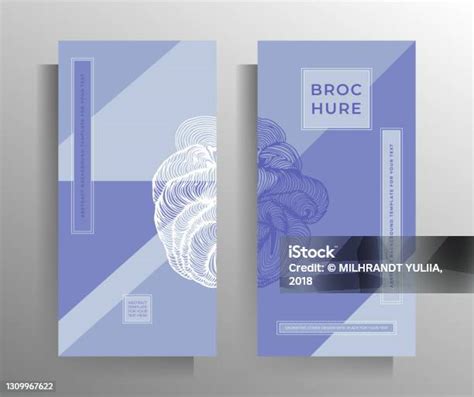 전단지 포스터 브로셔 배너 잡지 책 템플릿 세트표지 디자인 0명에 대한 스톡 벡터 아트 및 기타 이미지 0명 개념 개체 그룹 Istock