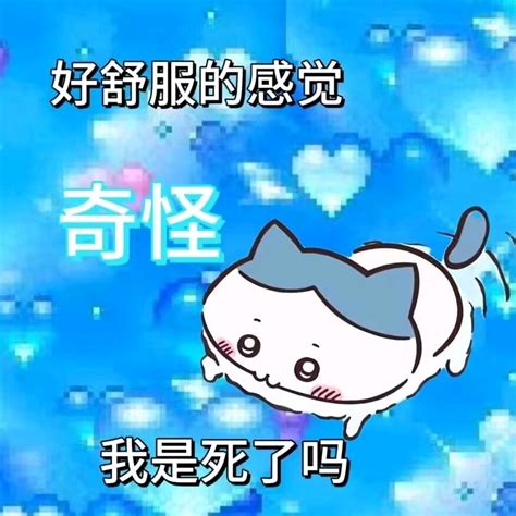 群友都在用的小八表情包 哔哩哔哩