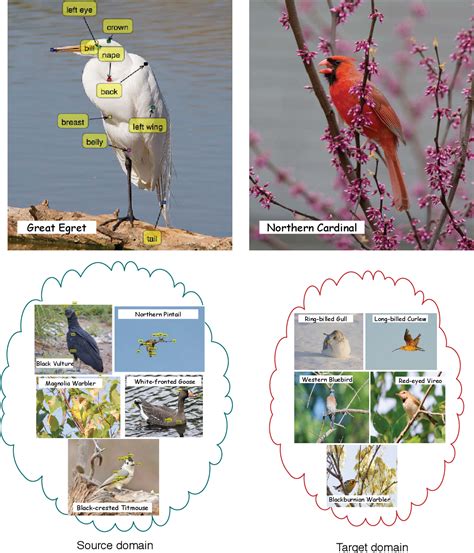 Figure 1 1 From Deep Representation Learning For Keypoint Localization Semantic Scholar