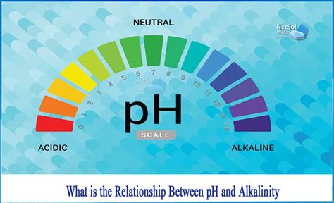 What Is The Relationship Between PH And Alkalinity