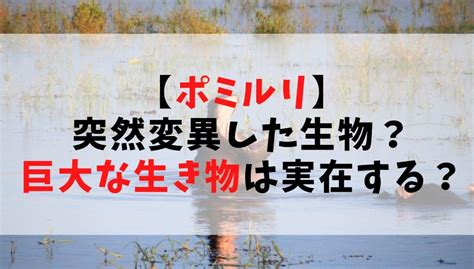 【ポミルリ】突然変異した生物？巨大な生き物は実在する？