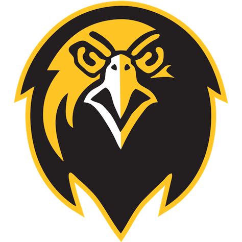 Pfeiffer University