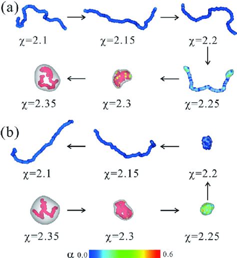 The Snapshots Of The Polymer Conformation In The Solvent Mixture From W Download Scientific