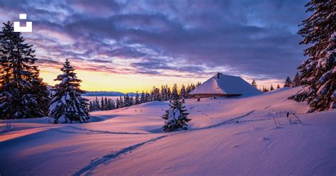 나무가 있는 눈 덮인 언덕과 멀리 집이 있습니다 사진 Unsplash의 무료 배경 이미지