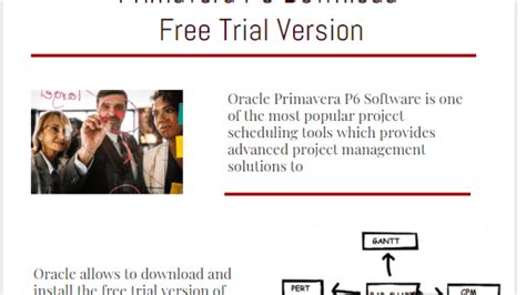 primavera p6 resource curves explained projectcubicle