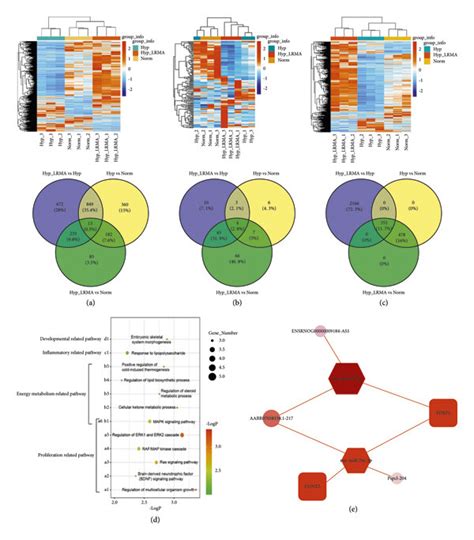 Bioinformatics Analysis H9c2 Cells Were Treated With 50 μgml Lrma For