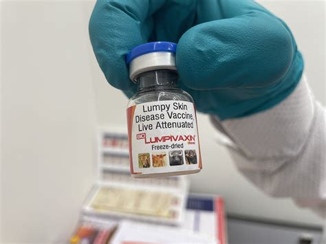 Biovet Gets Cdsco License For Worlds First Ever Diva Marker Vaccine For Lumpy Skin Disease