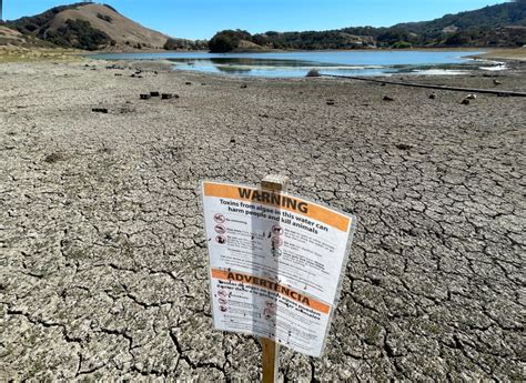 California Voice Not Embracing Power Of Algae Is Wrong Strategy For Carbon Sequestration